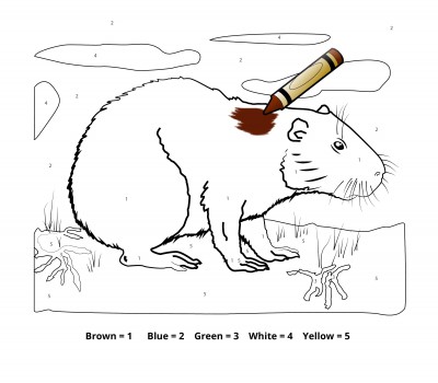 JIS Children's Page Play